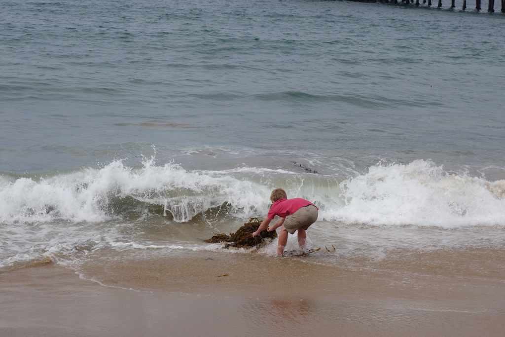 Spring Break at Newport Beach, California (Part 2) – Adventures of the ...