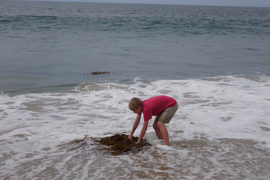 Spring Break at Newport Beach, California (Part 2) – Adventures of the ...