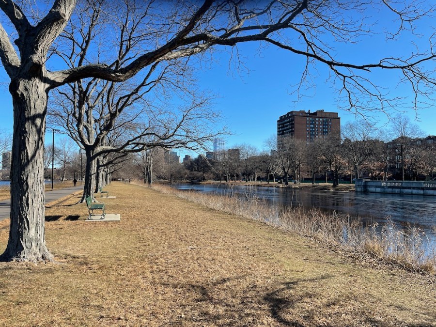 Boston Esplanade Winter Walk – Adventures of the 4 JLs