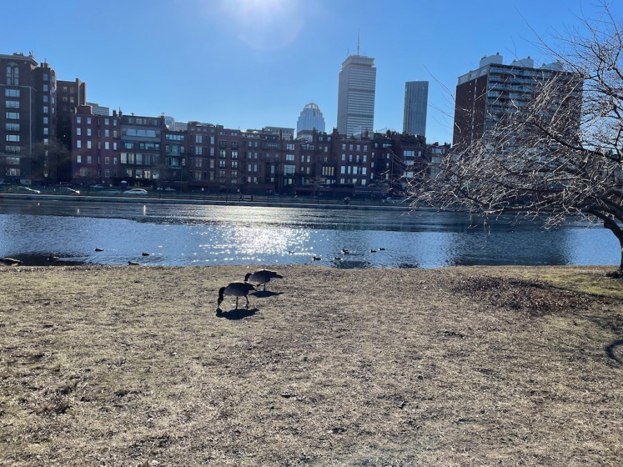 Boston Esplanade Winter Walk – Adventures of the 4 JLs