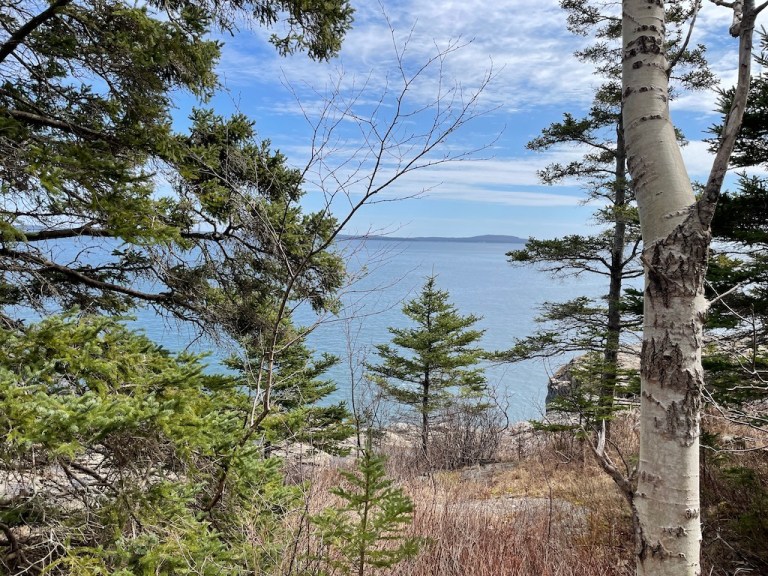 A Spring Day at Acadia National Park in Maine – Adventures of the 4 JLs