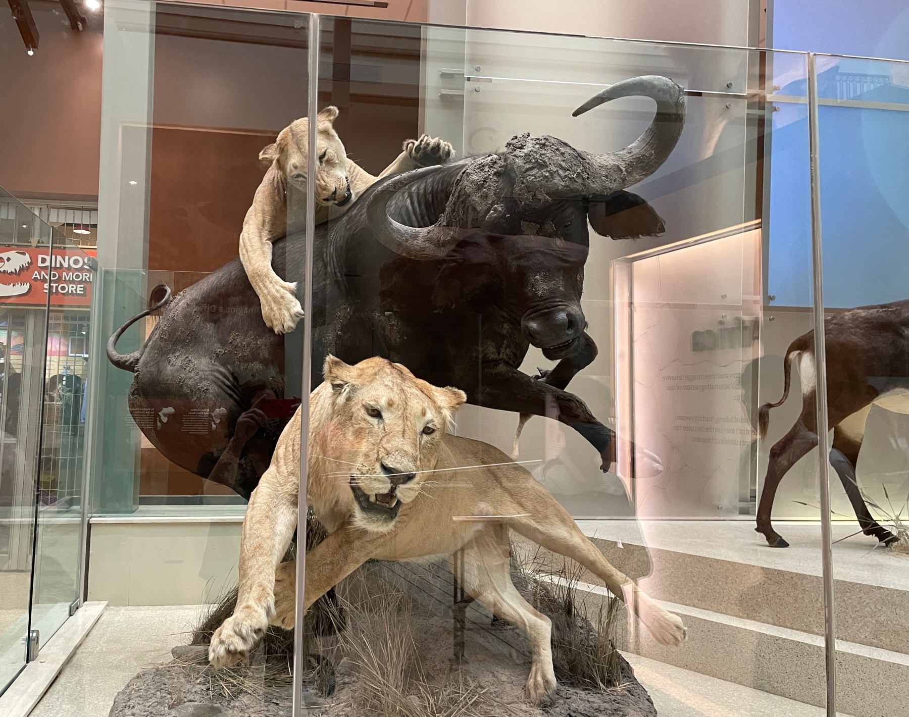 Summer Road Trip from Boston to DC – Adventures of the 4 JLs