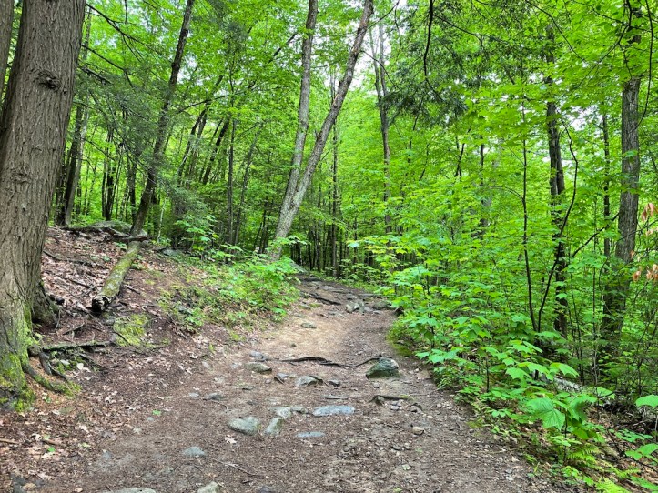 Hiking Wachusett Mountain, Massachusetts – Adventures of the 4 JLs