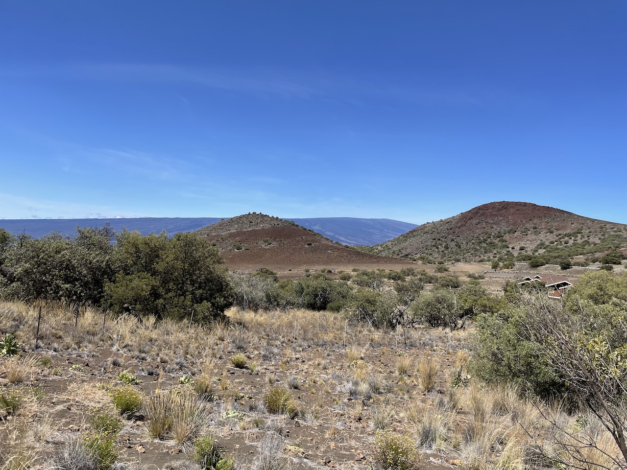 Hawaii Big Island: Day 5 – Kahalu’u Beach Park and a drive up Mauna Kea ...