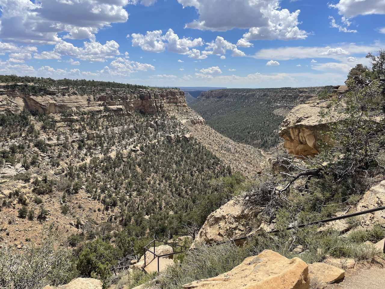 A Day in Mesa Verde National Park – Adventures of the 4 JLs