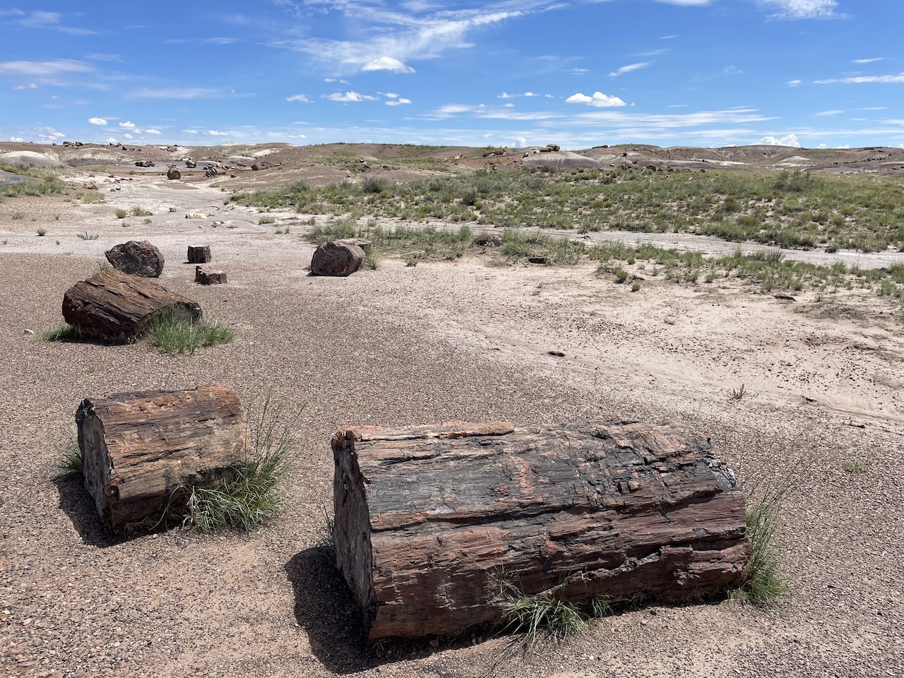 A Drive through Petrified Forest National Park – Adventures of the 4 JLs